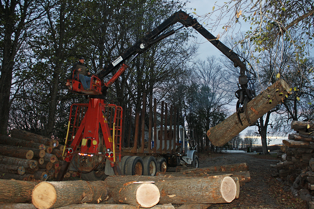 Upstate NY Timber Services For Landowners, Loggers, Export